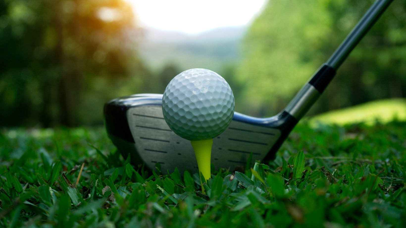 How to Maintain Your Golf Cart: A Complete Maintenance Checklist ...
